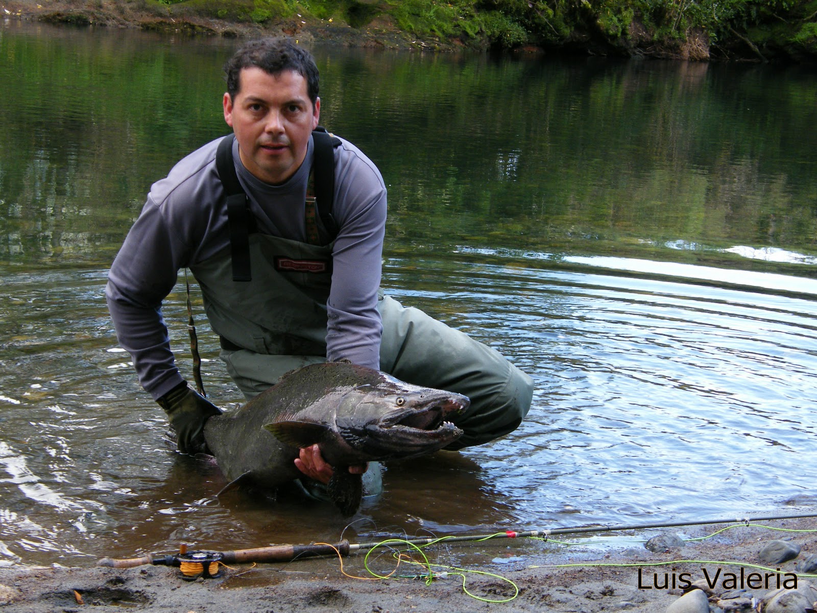 Agenda del Pescador: Pescando Por la Carretera Austral, La Junta,