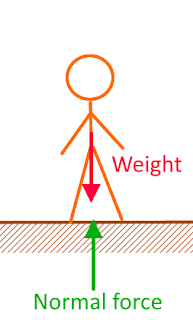 The Physics of a Supportive Bra Explained