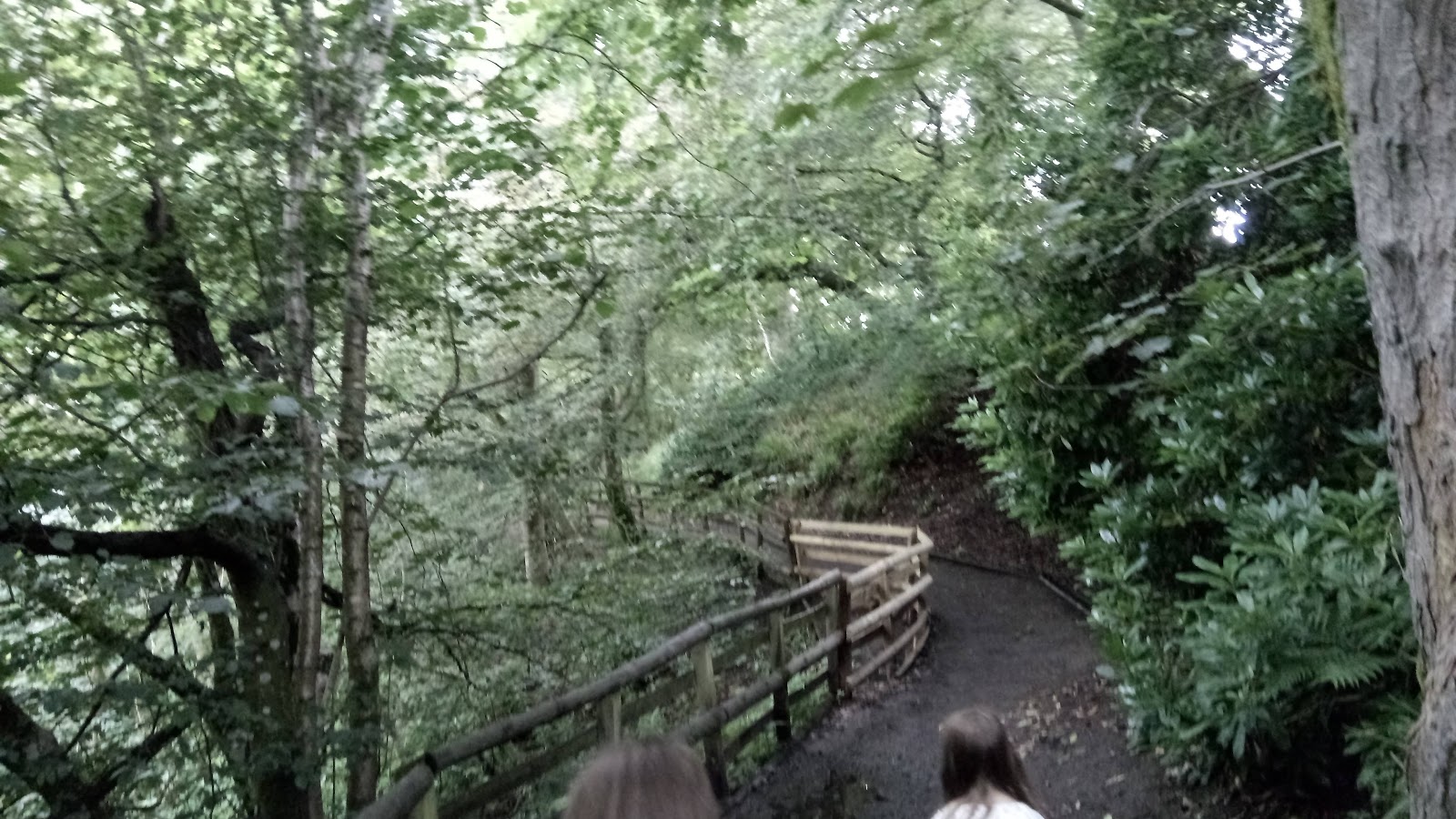 Calderglen Country Park