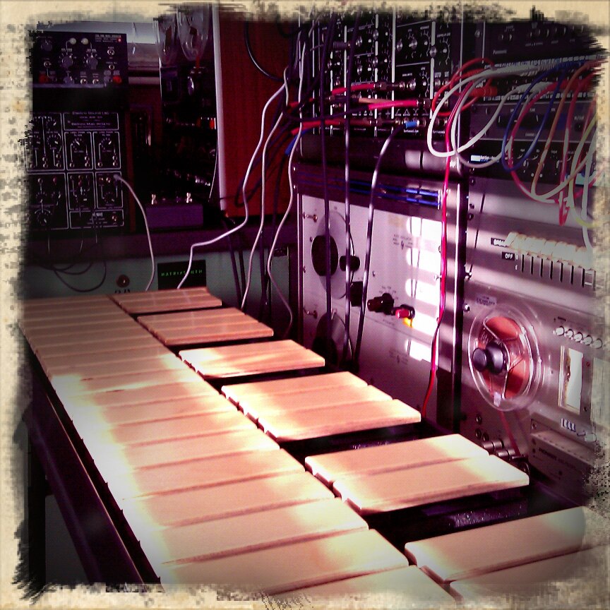 MATRIXSYNTH: Wernick Xylosynth is back from the dead!