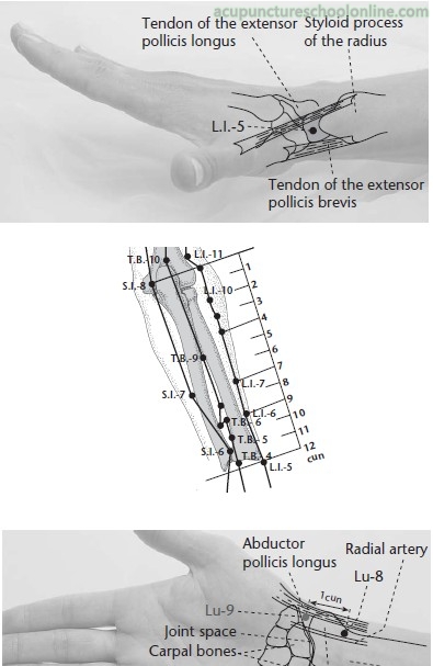 Jarum Sakti: Meridian Paru-paru & Usus Besar