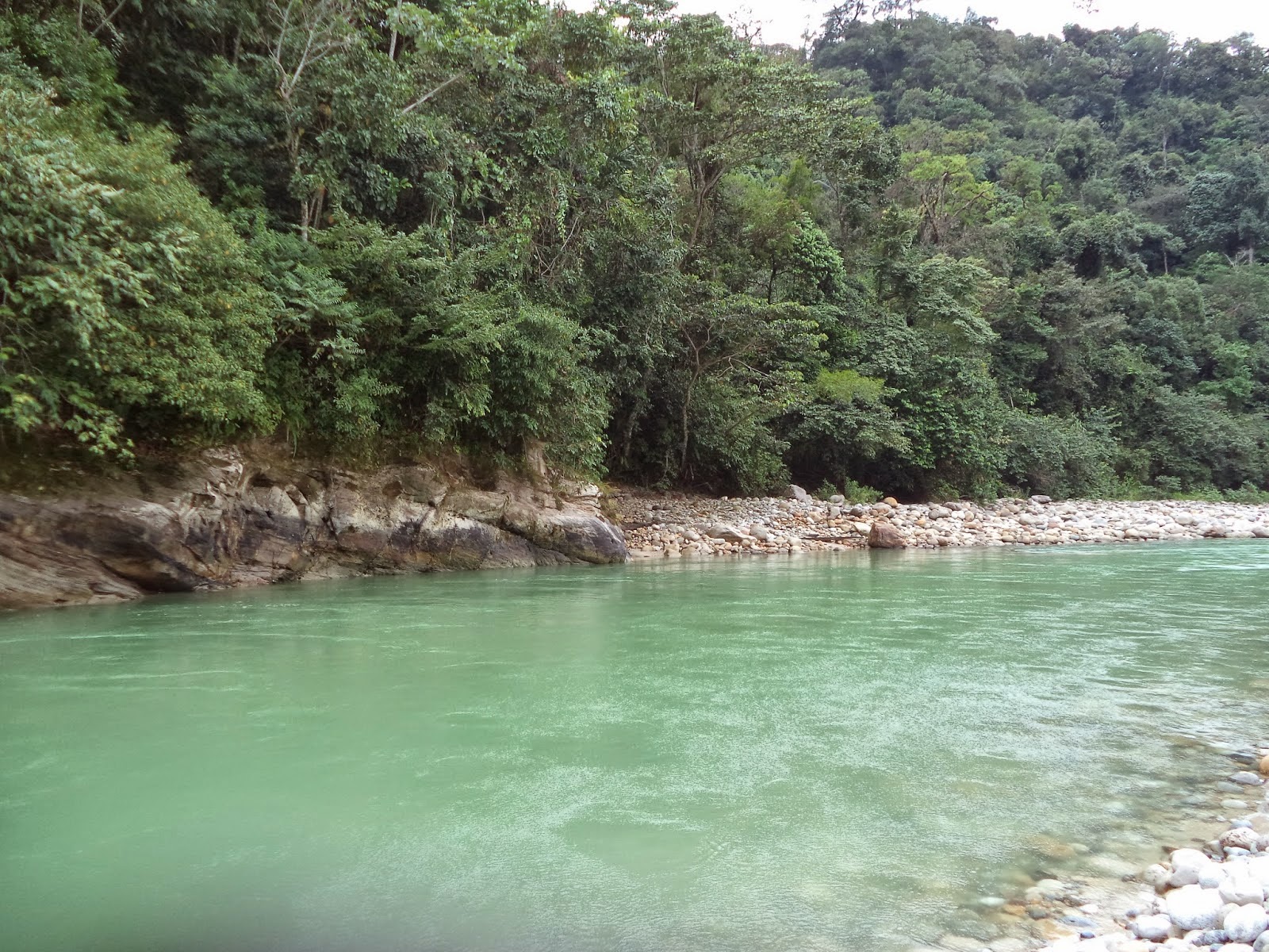 Apure y sus servicios Turísticos Paéz - SenderosdeApure.Net