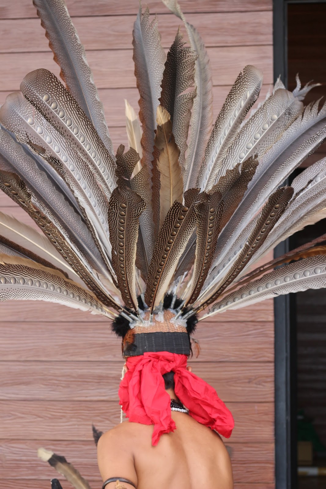 Gawai Dayak, Festival Tradisional di Kalimantan Barat - Tukang Jalan Jajan