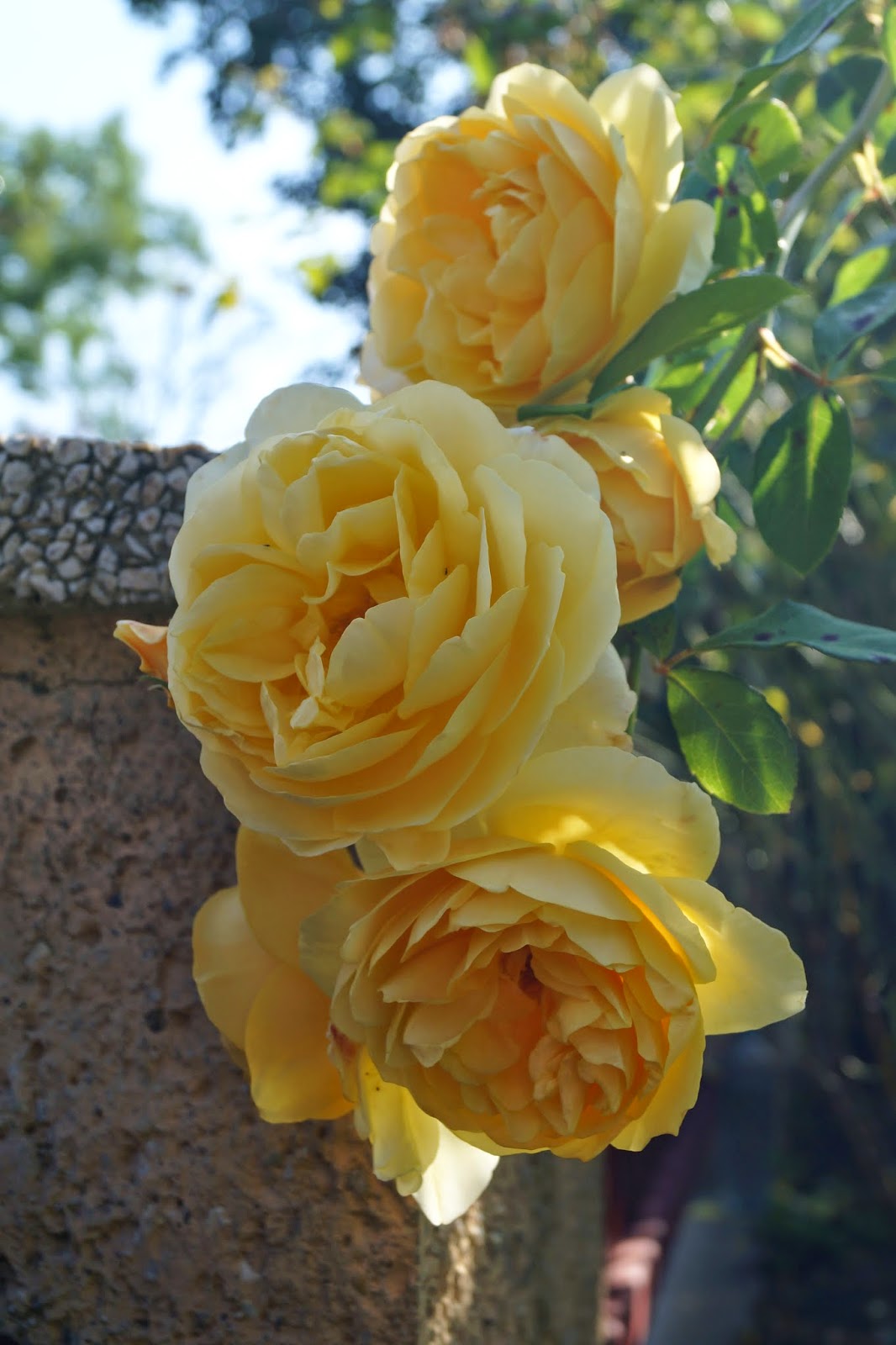 kleine freude: September 2014