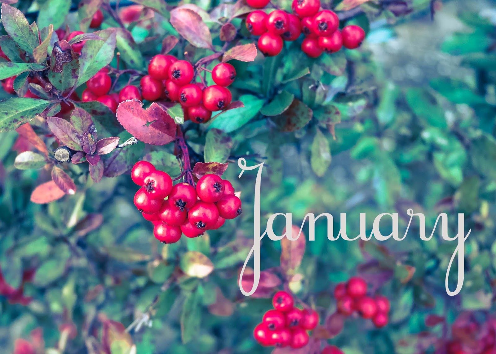 Merry at Seven.: January (Birthday!) Love List...