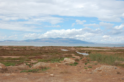 COMERCIO EXTERIOR: Berkan, Marruecos