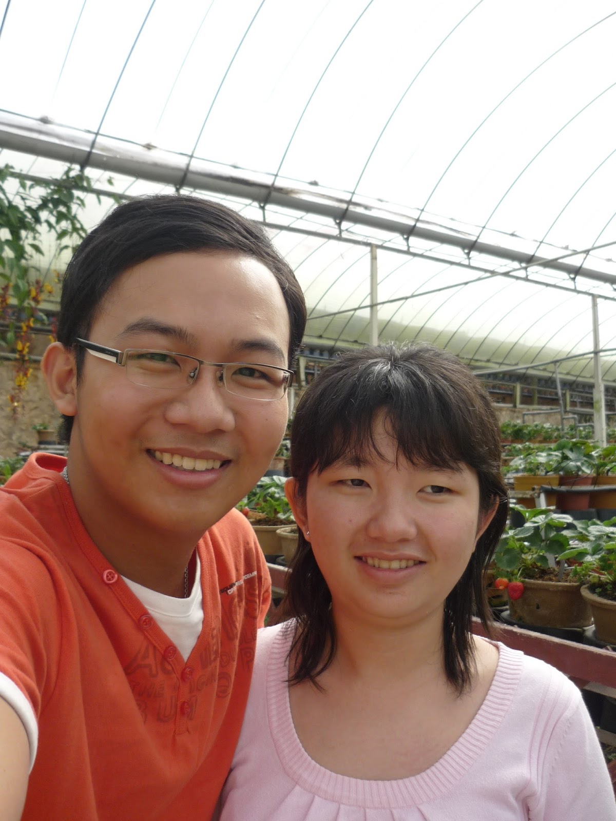 Our Journey : Pahang Cameron Highland - Kampung Raja Green View Garden Farm