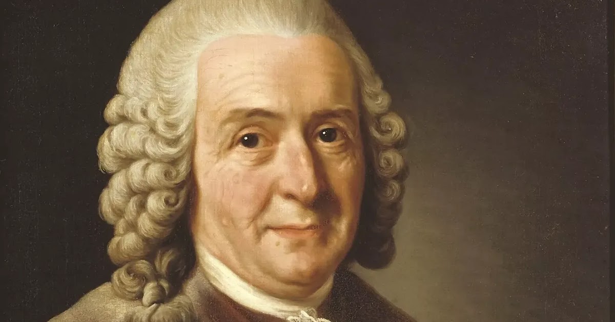 Who is Carl Linnaeus -The Father of Taxonomy (1707-1778) Biography