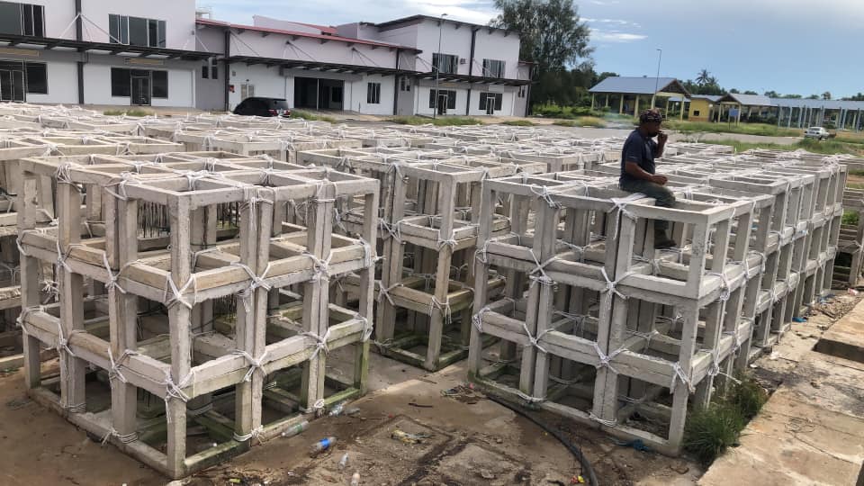 Bicara Mentari: TUKUN TIRUAN MENJADI HABITAT HIDUPAN LAUT