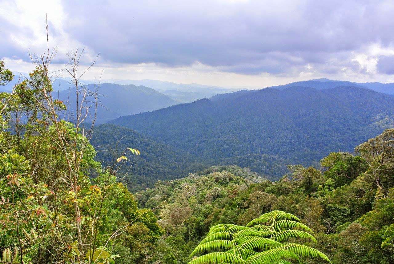 afifplc: Gunung Angsi hike
