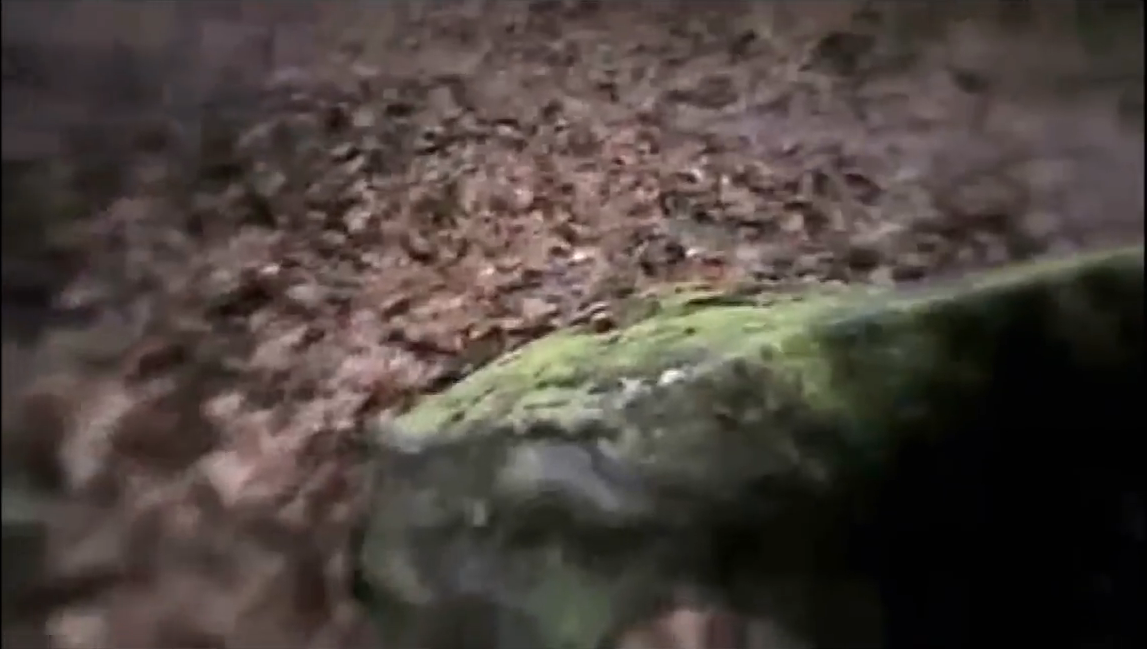 [PSP Rom] Hysteria Project (USA)