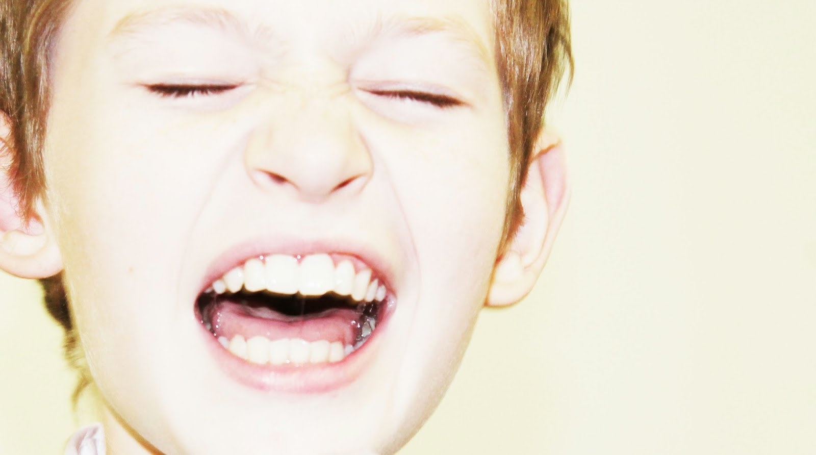 YOUNG PHOTOGRAPHER OF THE YEAR : Some highlights from 9 - 15 years category