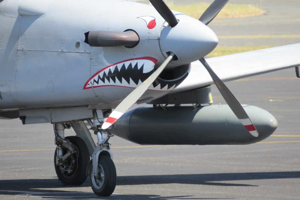 Central Queensland Plane Spotting: A Pair of Royal Australian Air Force ...