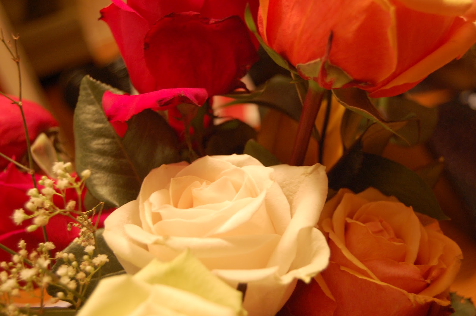 Dancing Words Sexy Roses