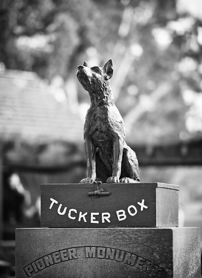 Famous Dogs in History: The Dog on the Tuckerbox
