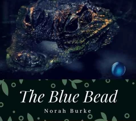 The Blue Bead Story Workbook Solution