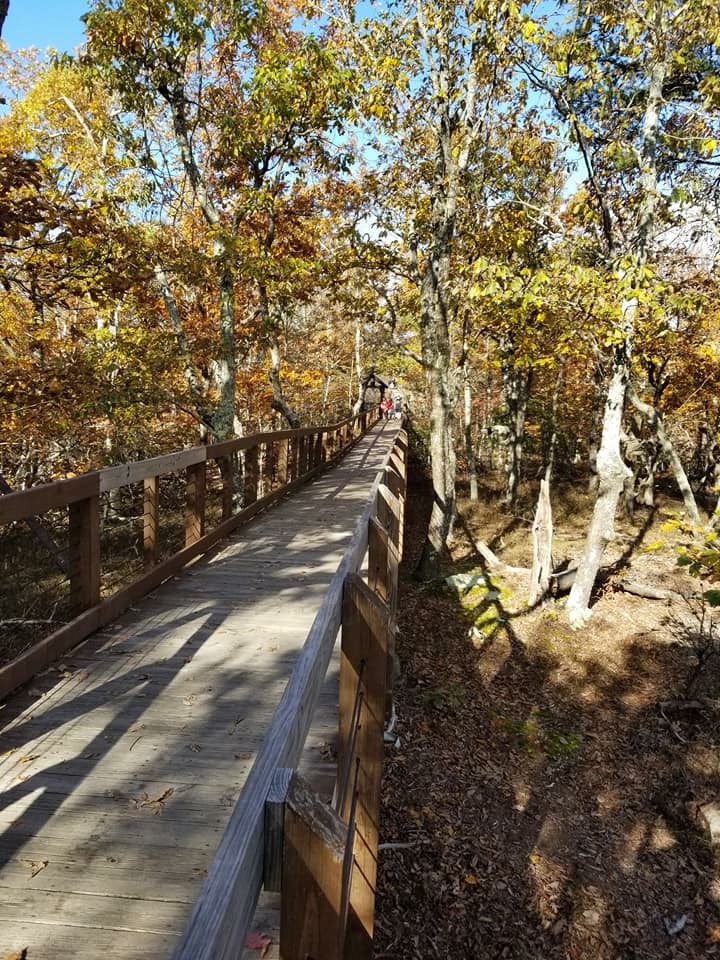 What's Next?: 2017 Pinhoti 100 Race Report