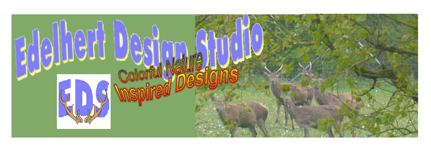 Digital Camera - Ideas - digital camera - digital photography - digital ...