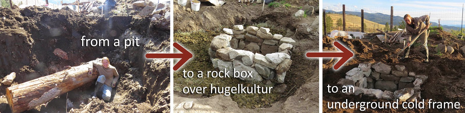 Wood for Food ~ Gardening with the Slow Burn of Rotting Wood ...