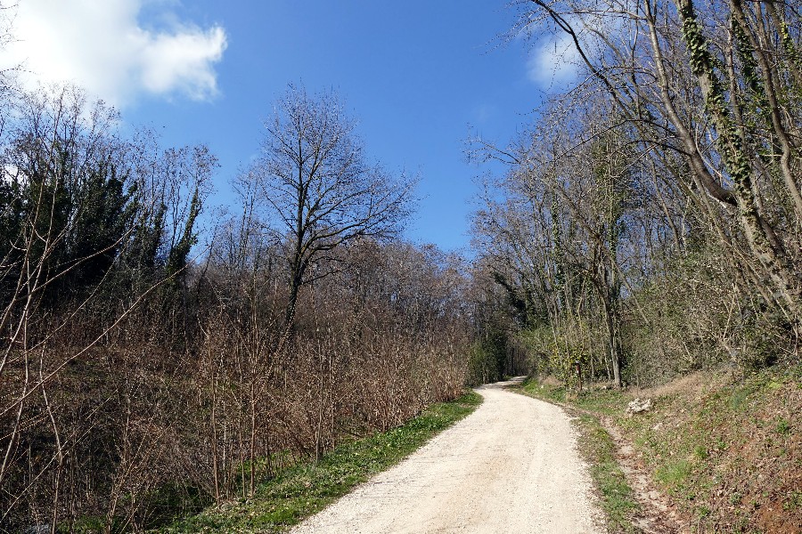 4 passeggiate facili da fare sul Montello - Montagna di Viaggi