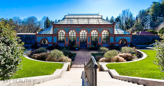 Our 2020 Tour of the Biltmore at Christmas - DIY Beautify - Creating ...