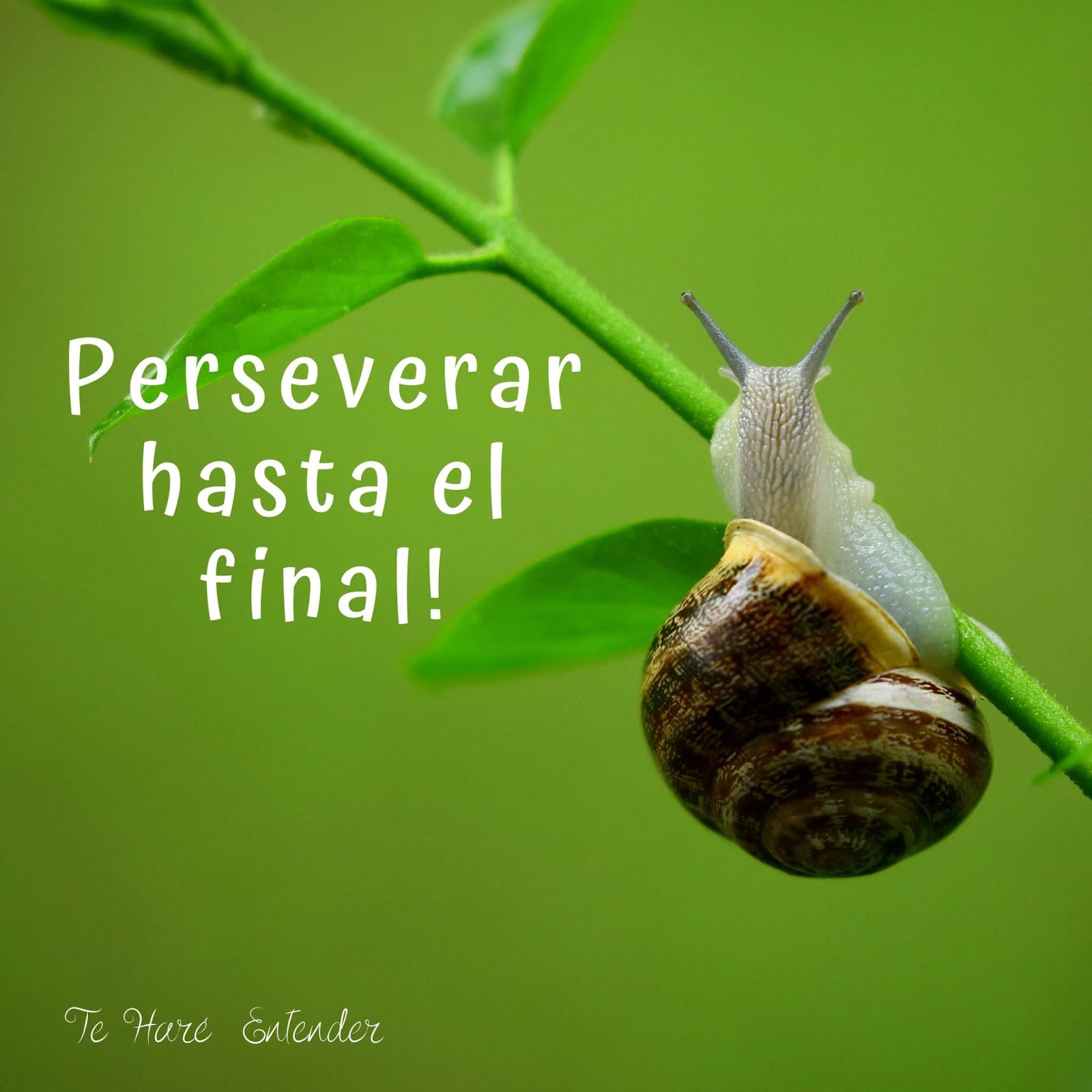 Te Haré Entender...: PERSEVERAR HASTA EL FINAL