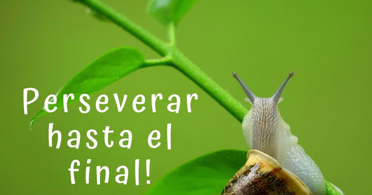 Te Haré Entender...: PERSEVERAR HASTA EL FINAL