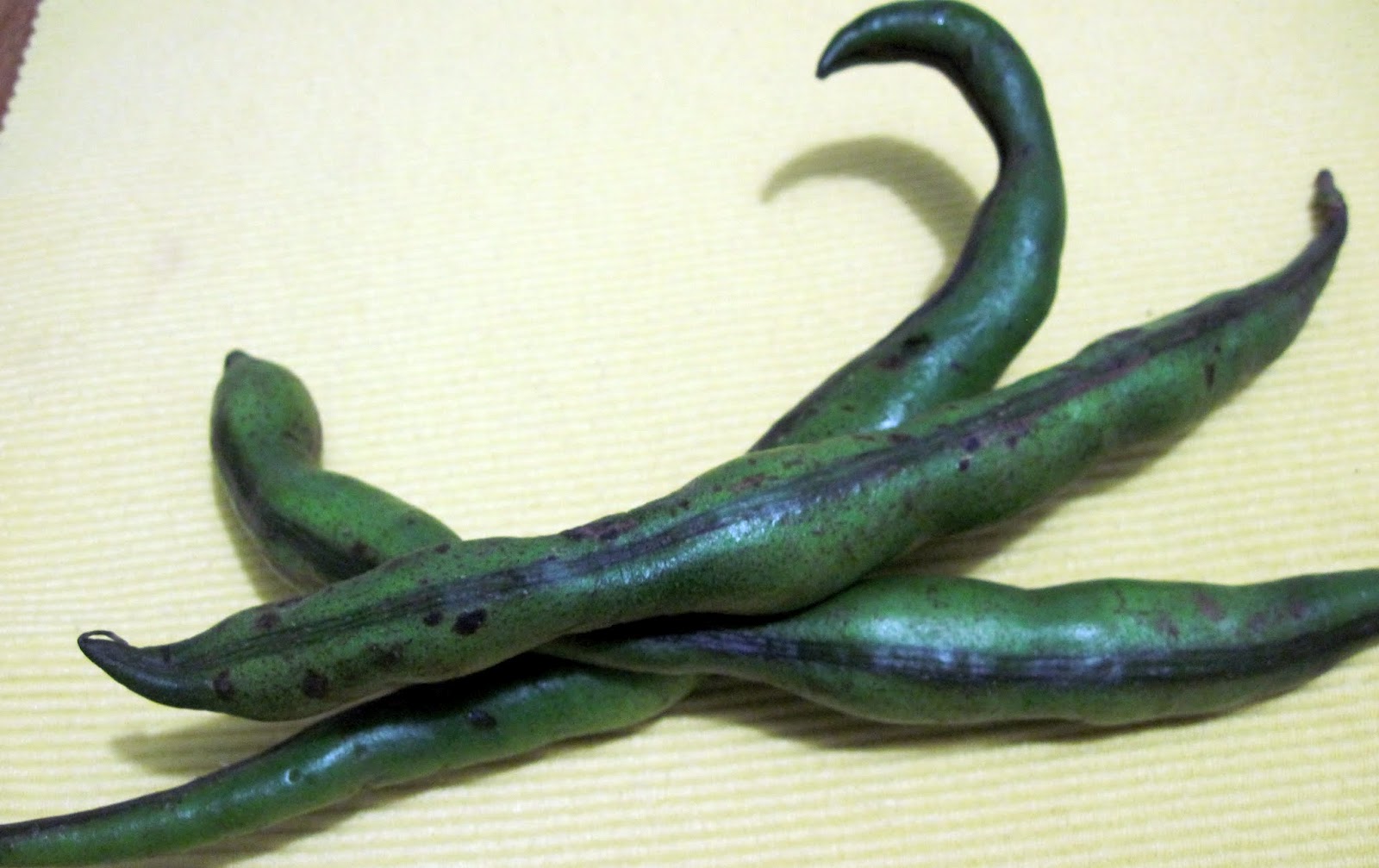 Boca de Fresa: Chachafruto, balú o guino