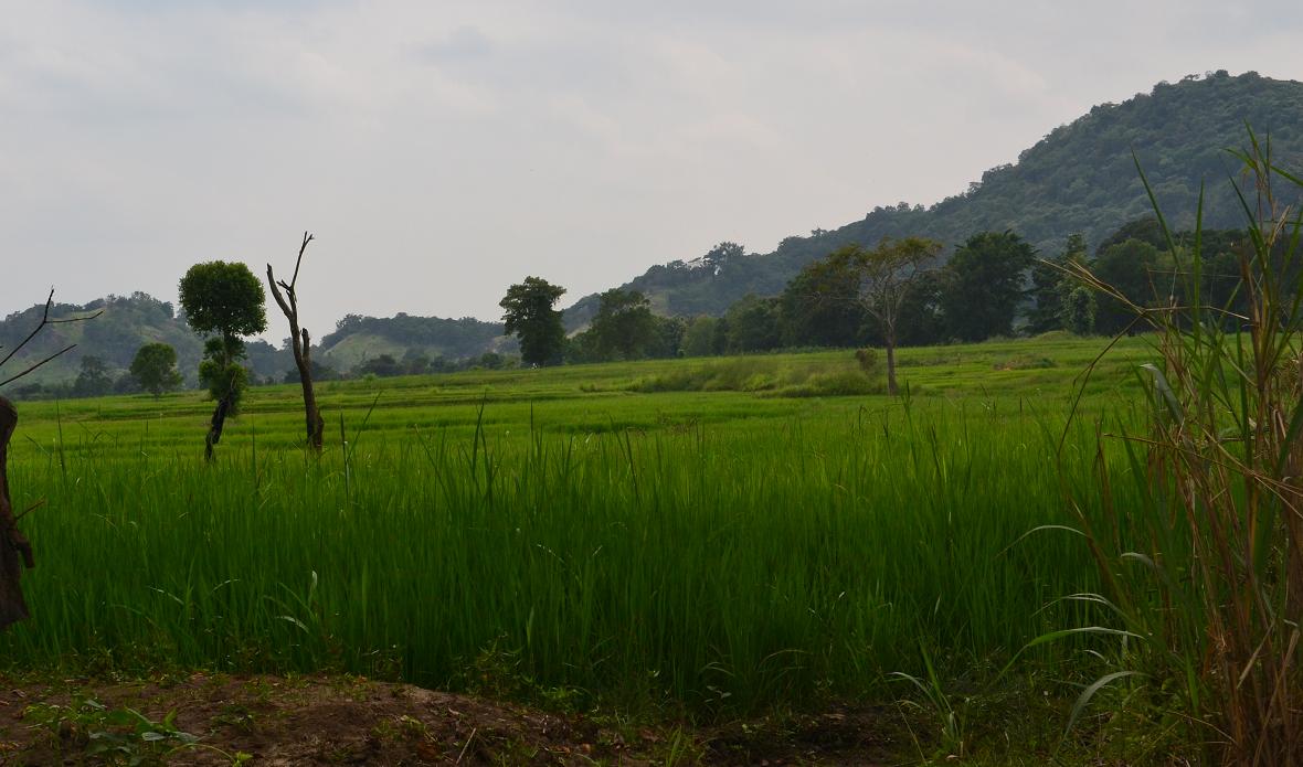 Kirigalpoththa: Wellawaya