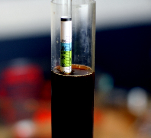 Viticulture in Ireland: So what's next in making our wine