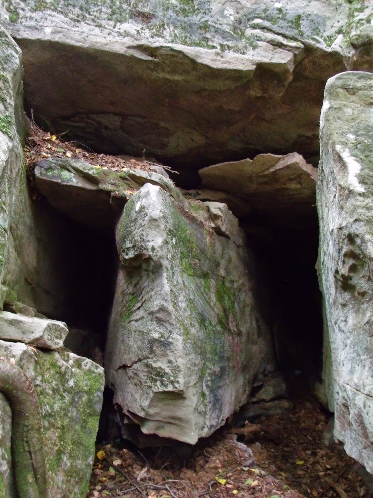 COUNTRY WHISPERS: On Top of Coopers Rock