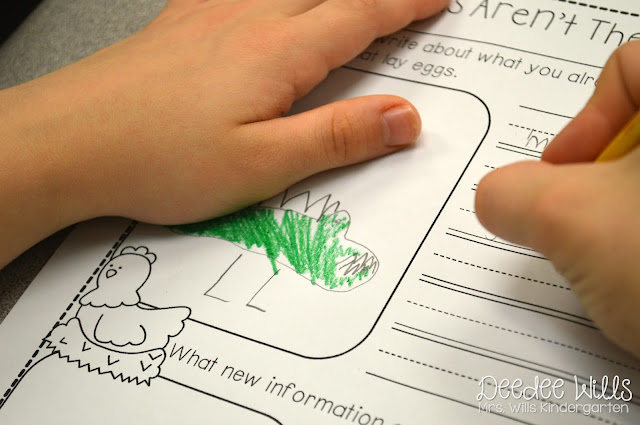 Oviparous Animals Lesson Plans ~ Peek at my Week | Mrs. Wills ...