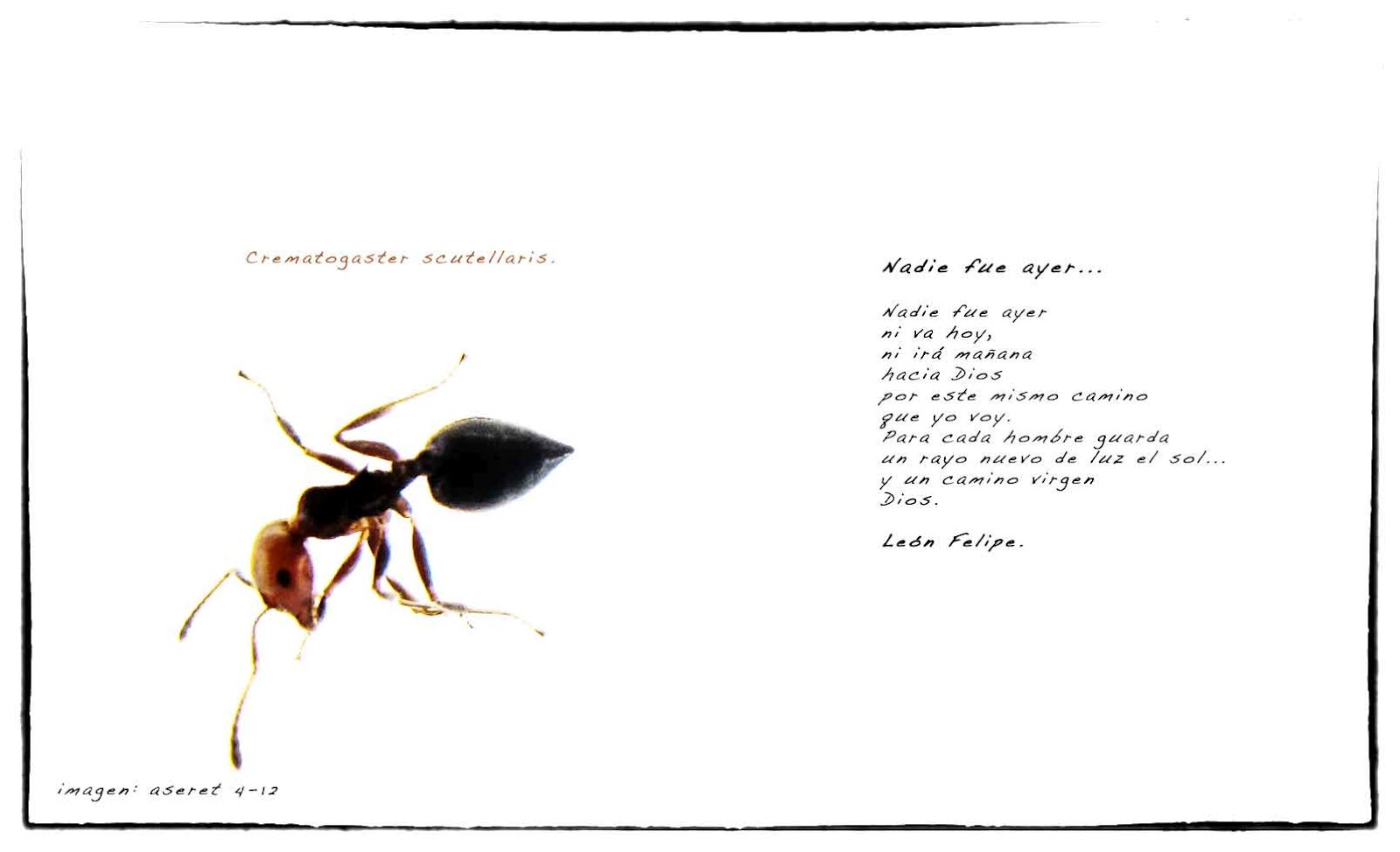 Entre Andares va Aseret.: Poemas de León Felipe.