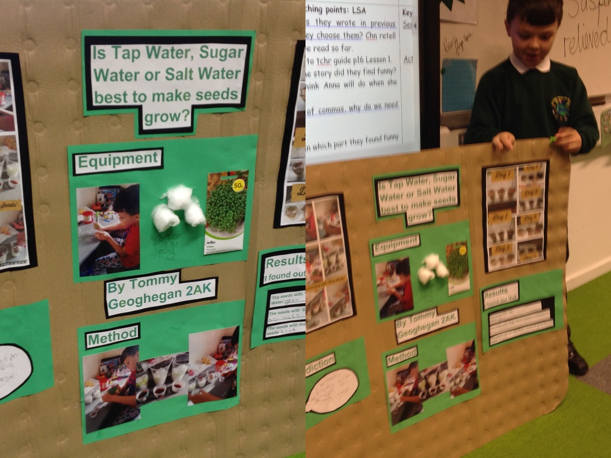 Suttons Primary School: Science Projects