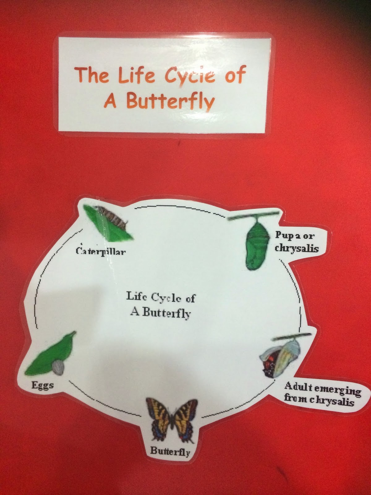 Raising Our Successful Children, Singapore Mom Blog: Literature Based ...