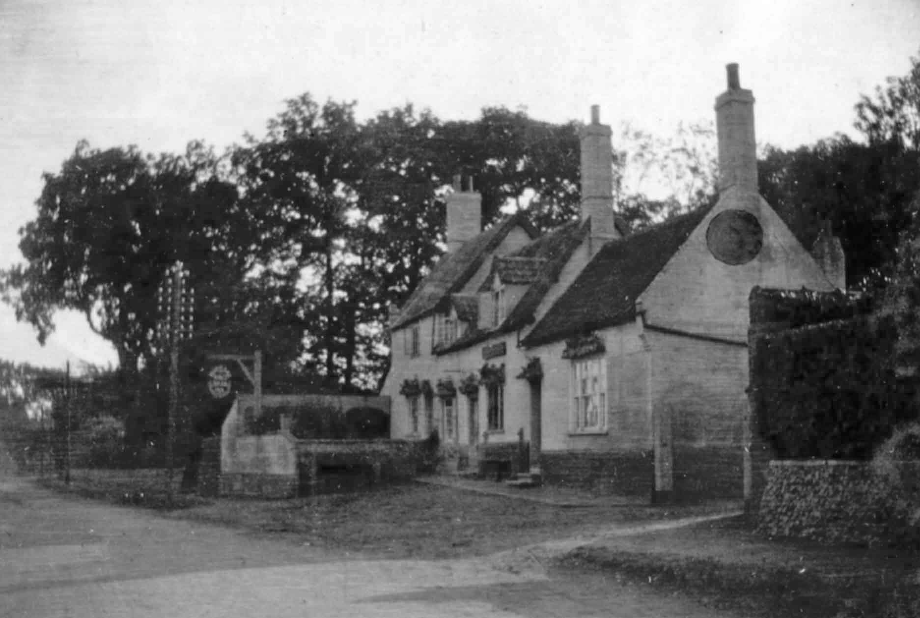 Family Tree Blossoms