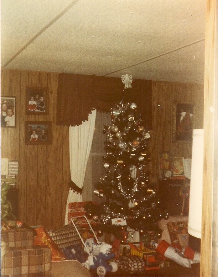 Mountain Genealogists: Advent Calendar of Christmas Memories - December 1