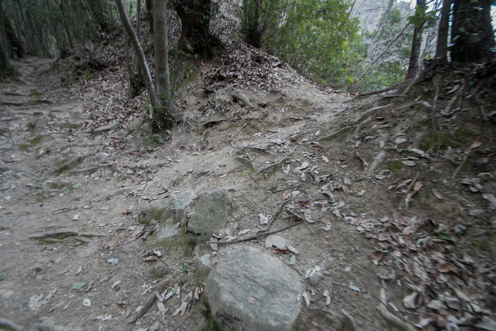 Niitakayama Castle -Intellectual pillar of Mouri clan (2)- | Japan ...
