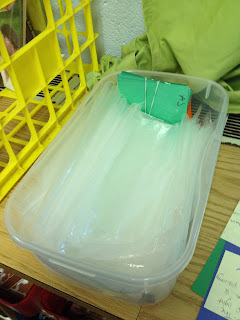 The Real Teachr: Classroom Library {Part 3} Book Check-Out and Return ...