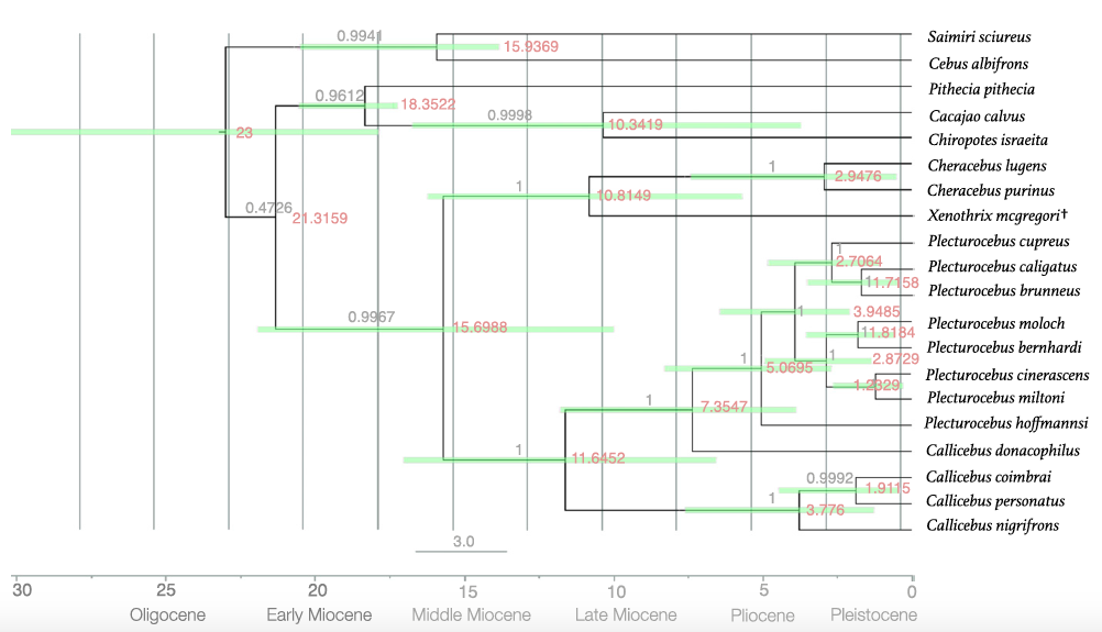 GW Human Evolutionary Genetics : Ancient DNA of the Extinct Jamaican ...