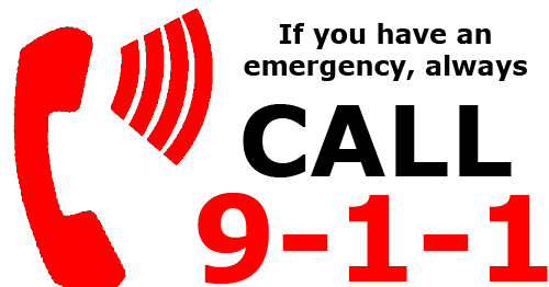 911 Call Transcript #1 ~ One Year in Texas