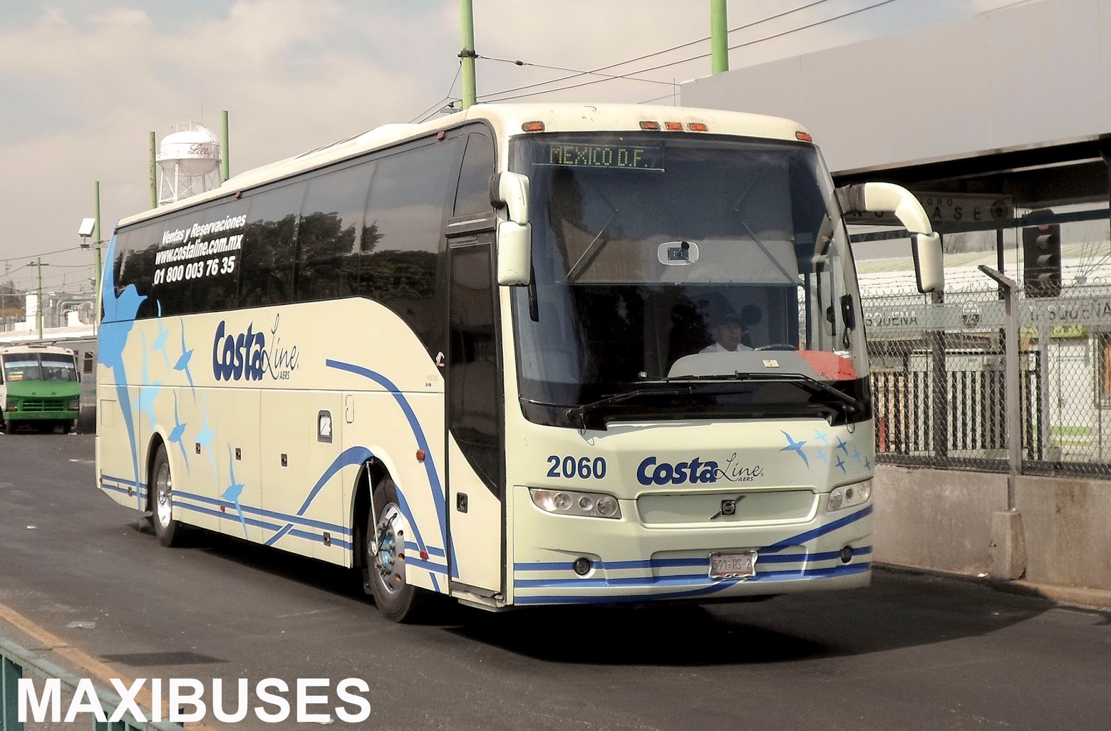 MAXIBUSES: COSTA LINE