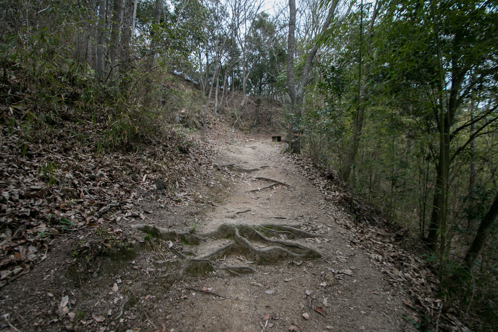 Niitakayama Castle -Intellectual pillar of Mouri clan (2)- | Japan ...