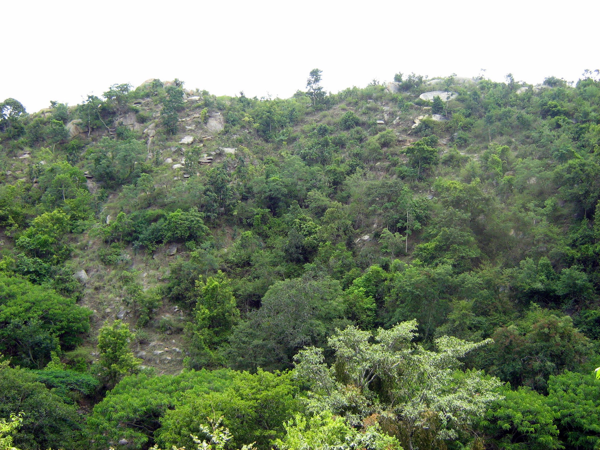 Pearl Valley/Muthyala Maduvu: Pearl-like water droplets falling from a ...