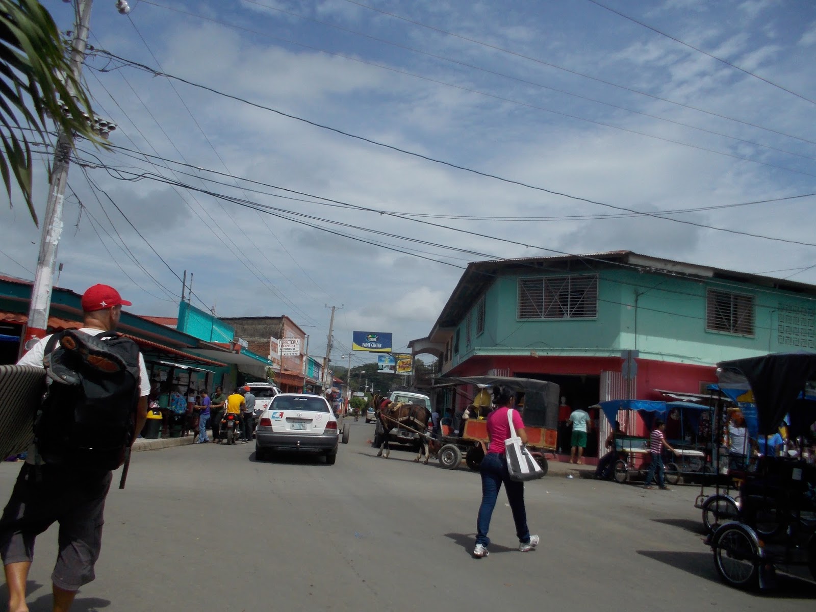 COQUÍN DE LOS BOSQUES EN CENTRO AMÉRICA: PLAYA GIGANTE, PLAYA AMARILLO ...