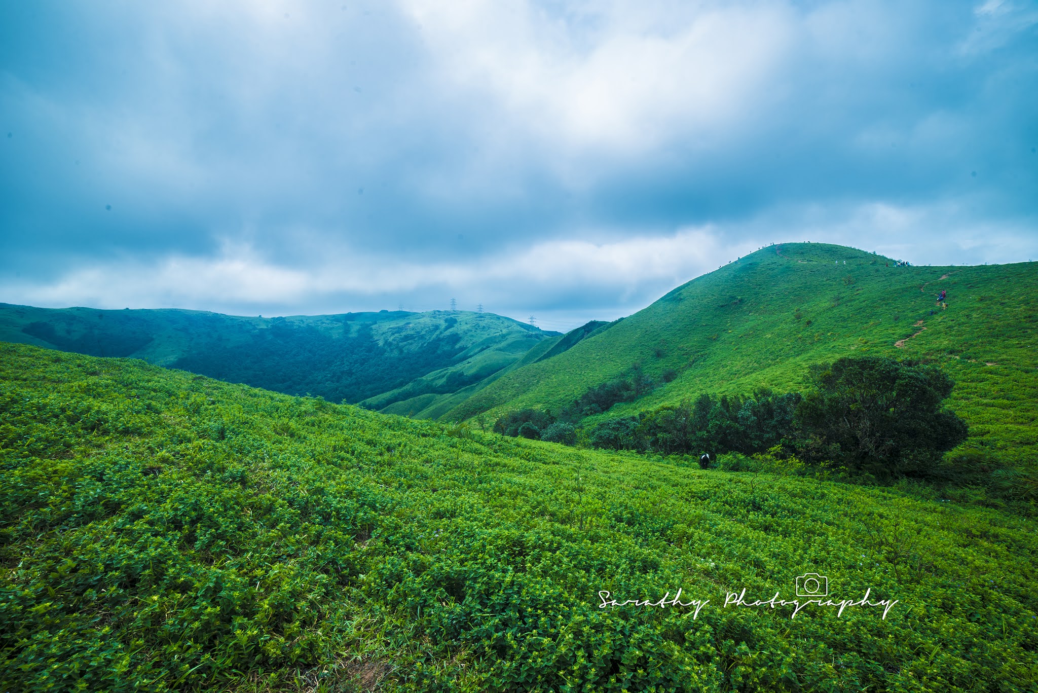 Devaramane Grasslands and Doddegaddavalli Temple day trip