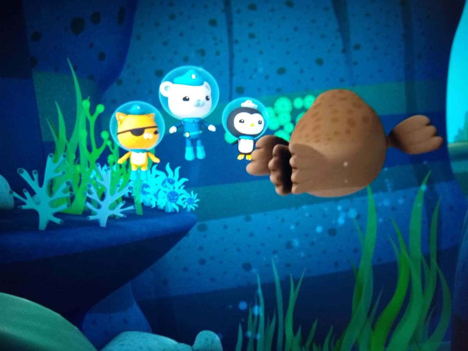 Pinniped Joy on Disney Junior: the Octonauts Get Their Pinniped Science ...
