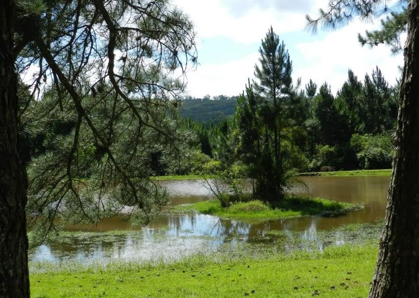Sítio Panamar - Turismo Rural e Café Colonial - Pelotas,RS