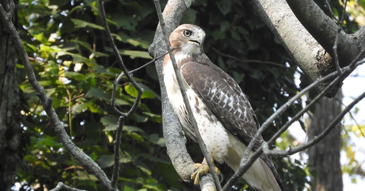 A little leeway: The News