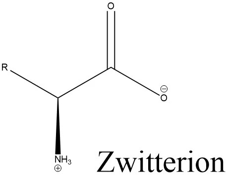 Zwitterion and isoelectric point: Definition, Separation of amino acid ...
